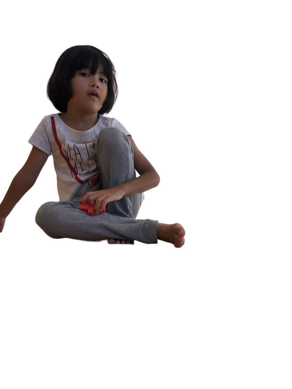 ホーム – Taiyo Hoikuen